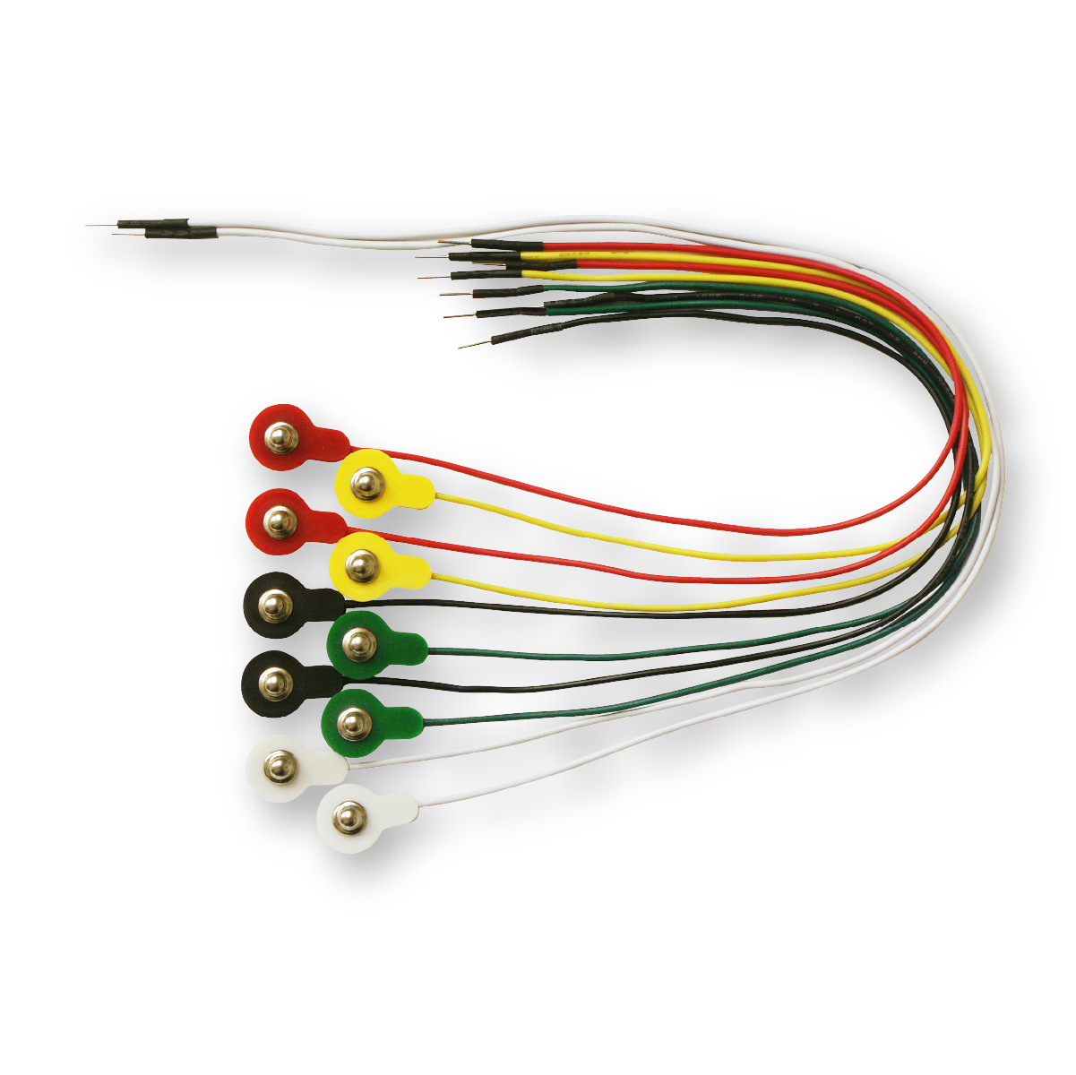Snap Circuits Brand Page